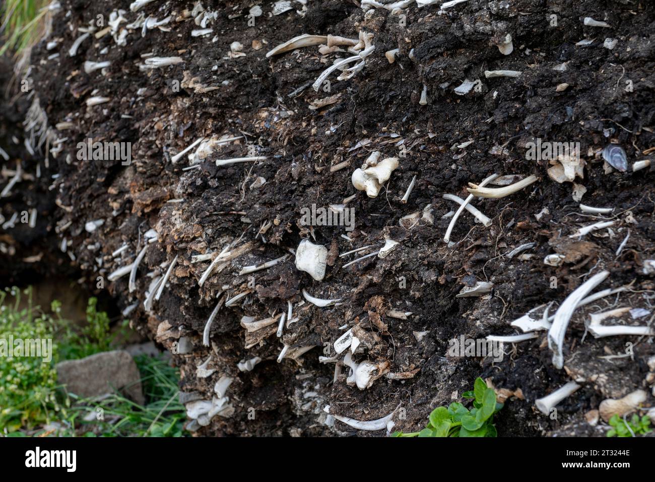 Greenland, Baffin Bay. Archeological Thule Culture site of Kangerup Nua ...