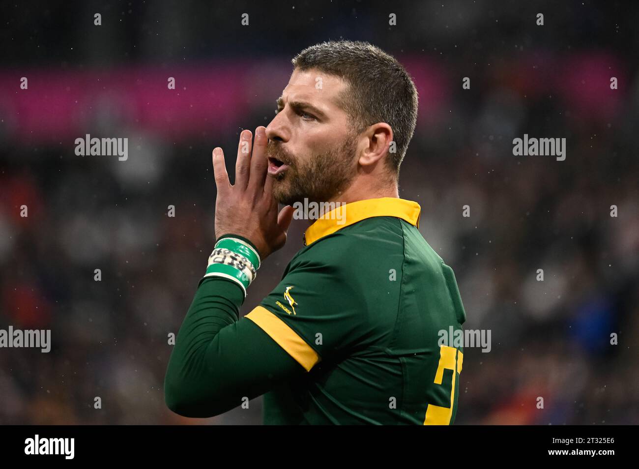 Willie le roux springboks hi-res stock photography and images - Alamy