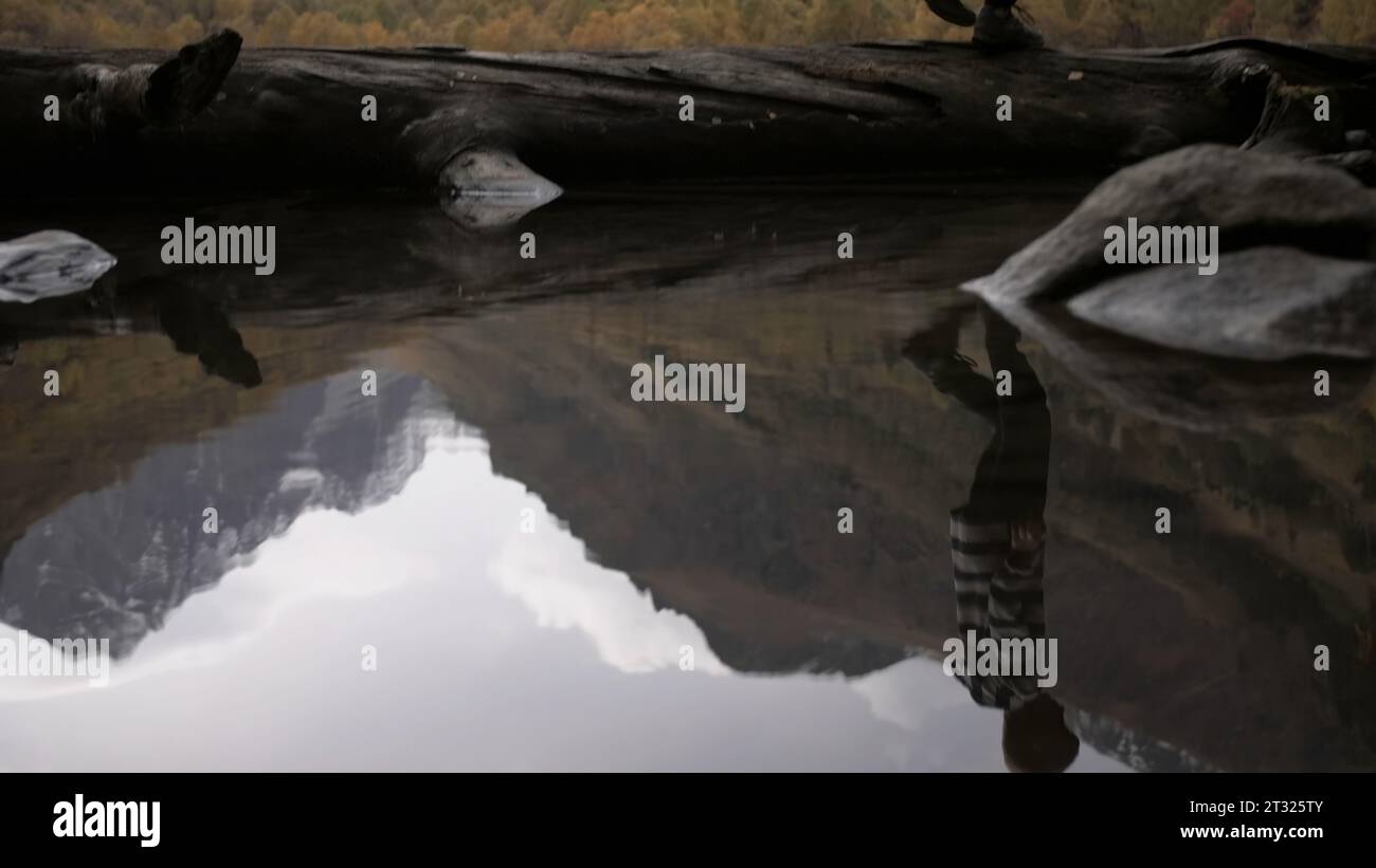 People in gait. Creative. Tourists walking in nature around plants and ...