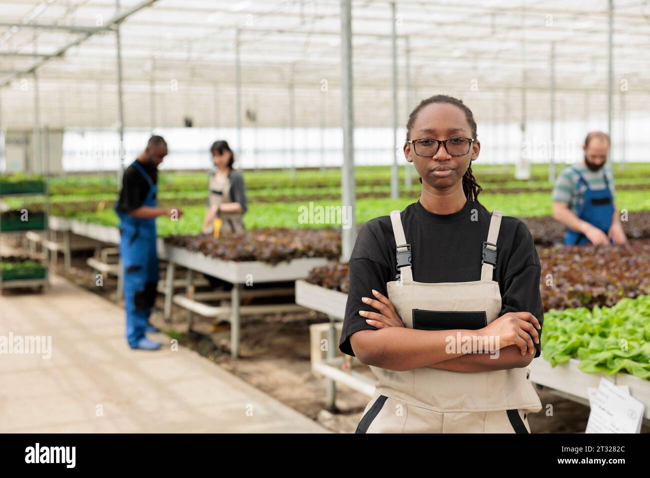 African american ranch manager leading horticulture team of farmers ...