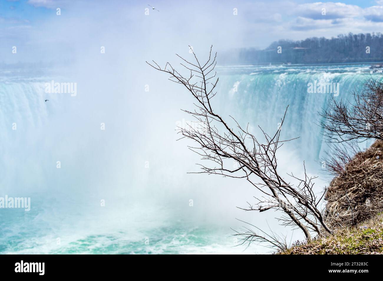 Horseshoe falls at Niagara falls during late April viewed from the ...