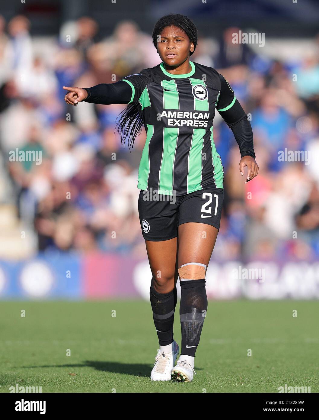 Haley madison hi-res stock photography and images - Alamy