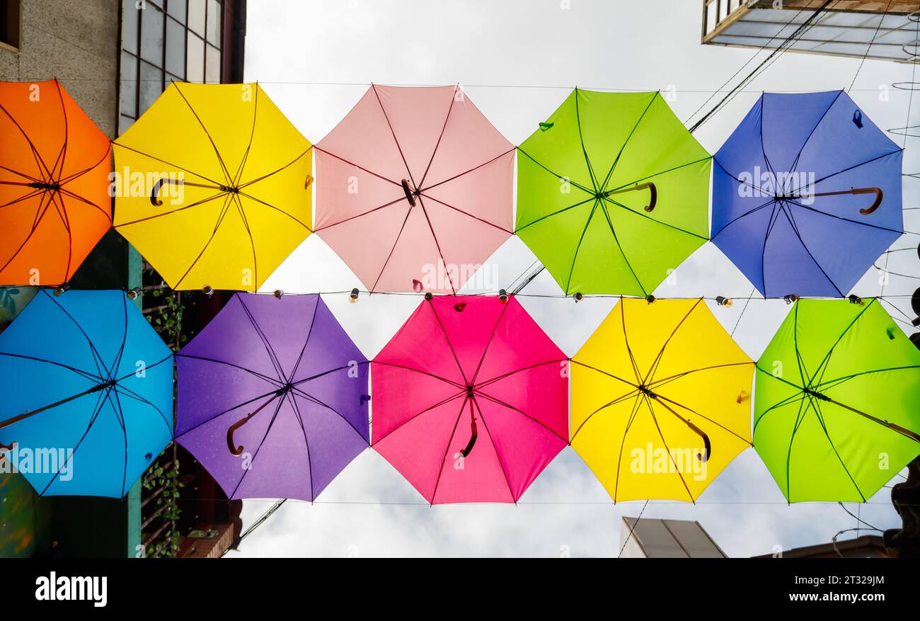 Hanging colored umbrellas seen from below decorate a street in Bogota ...