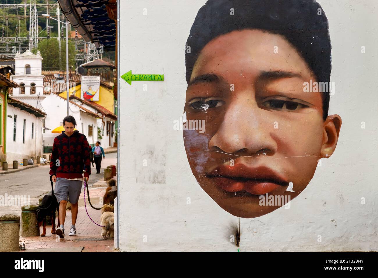 Bogota, Colombia - January 2, 2023: Young man walks his dogs past a ...