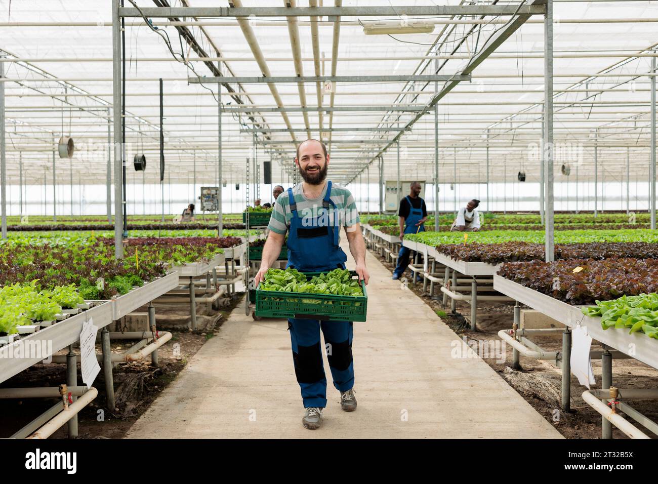 Cheerful friendly farm workers hi-res stock photography and images - Alamy