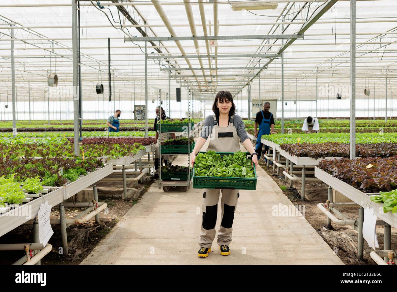 Source of fertilizer hi-res stock photography and images - Alamy