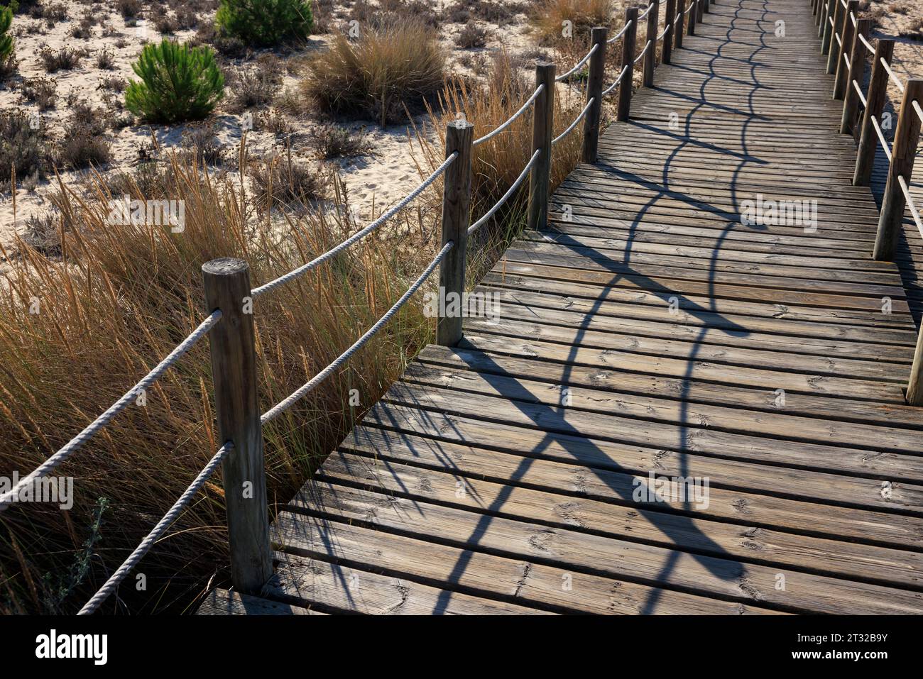 Woden boardwalk on Ilha da Armona (Armona Island) off the coast of ...