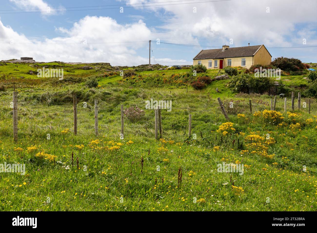 Gooreen hi-res stock photography and images - Alamy