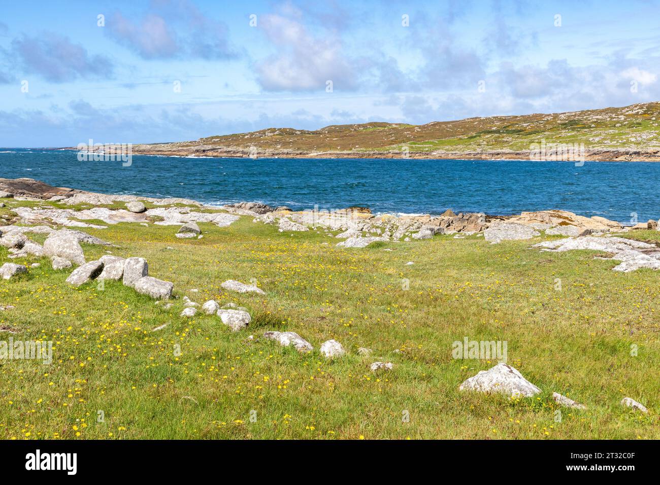 Beach with grass, rocks and sand, Dogs bay, Roundstone, Conemara ...