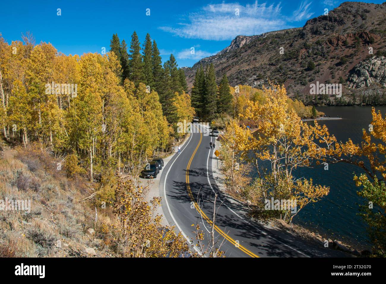 The fall color along the June Lake Loop in Mono County can be vibrant ...