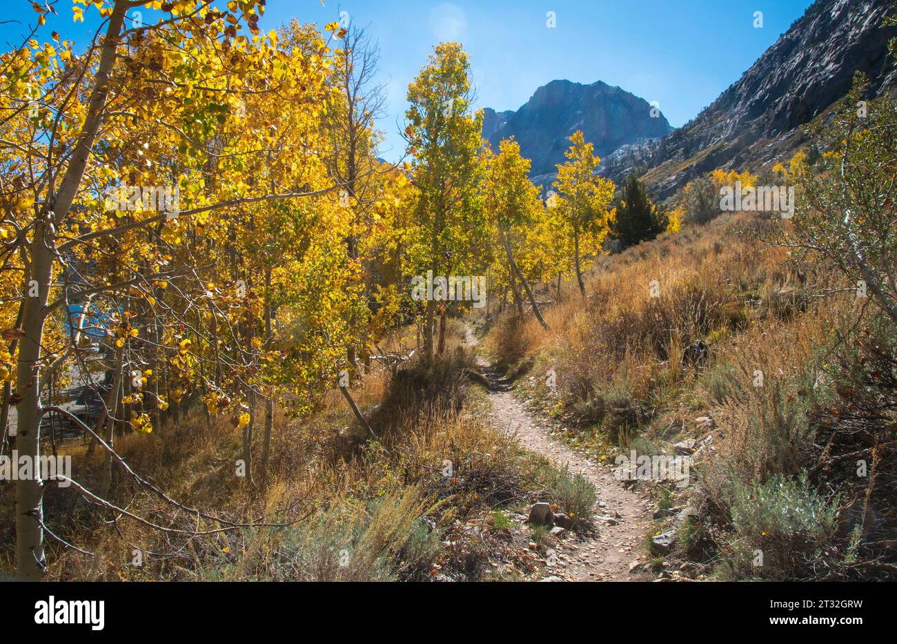 The fall color along the June Lake Loop in Mono County can be vibrant ...