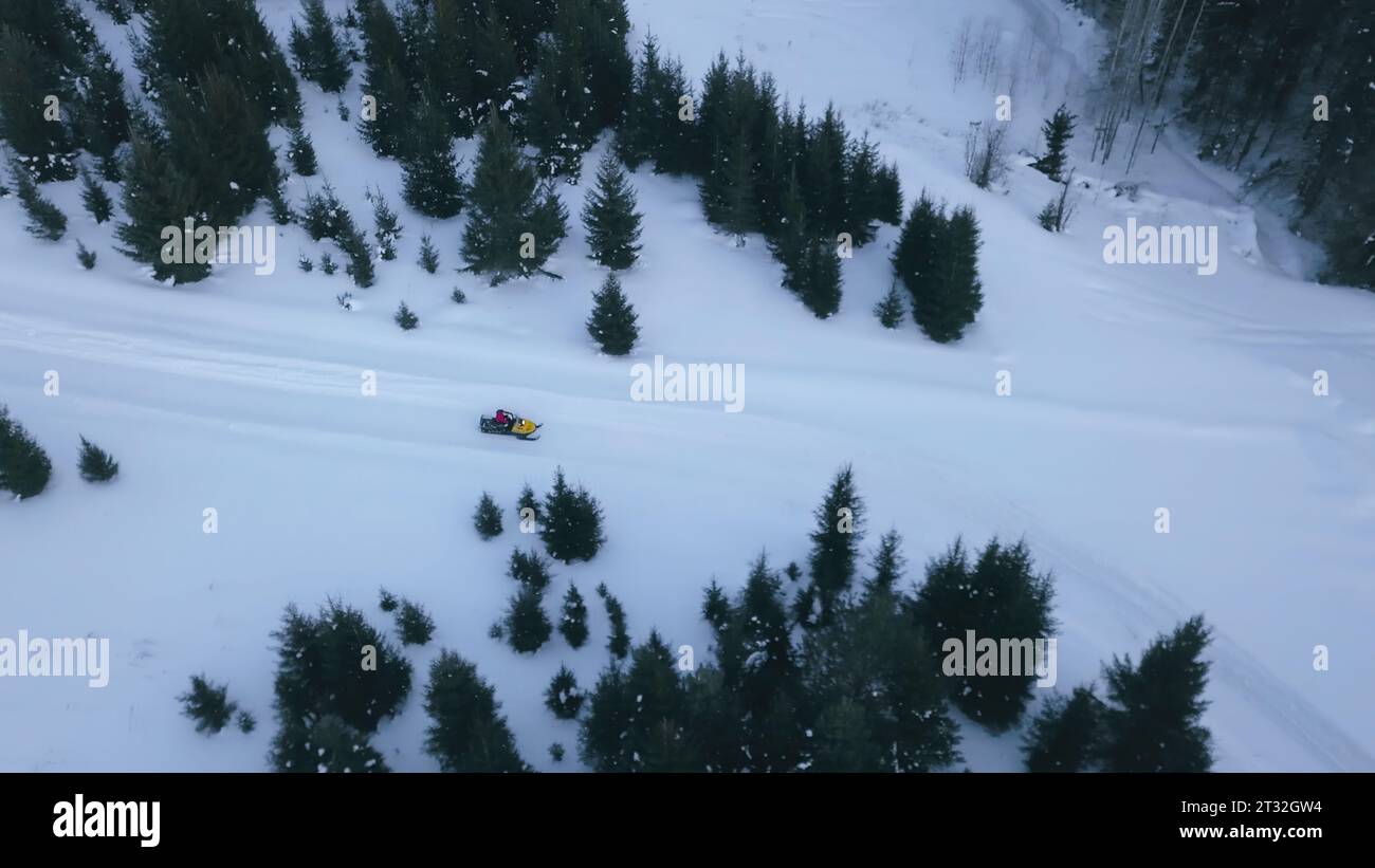 Top view of snowmobile in forest. Clip. Single snowmobile driving on ...