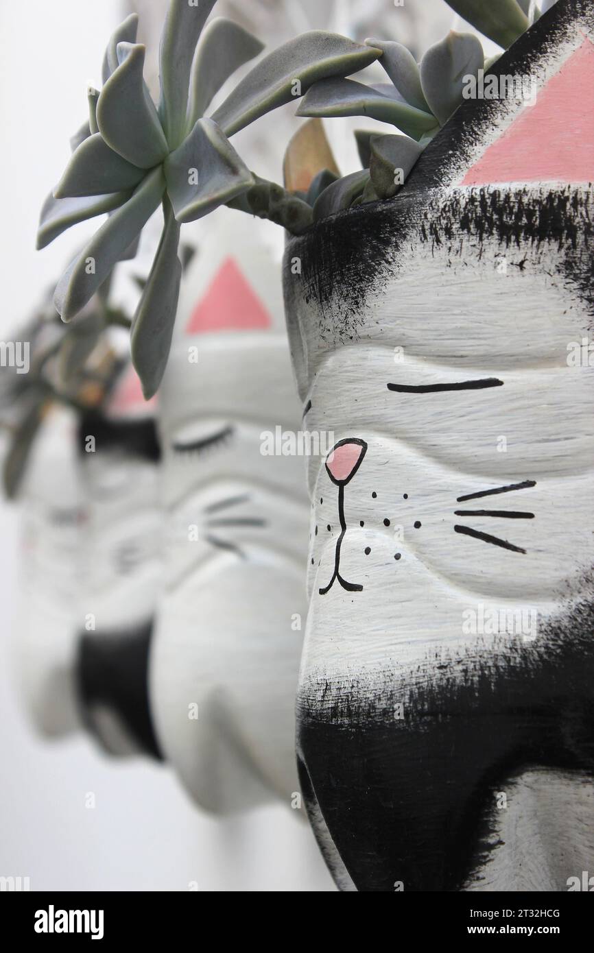 Handcrafted vases produced from the reuse of plastic pet bottles ...