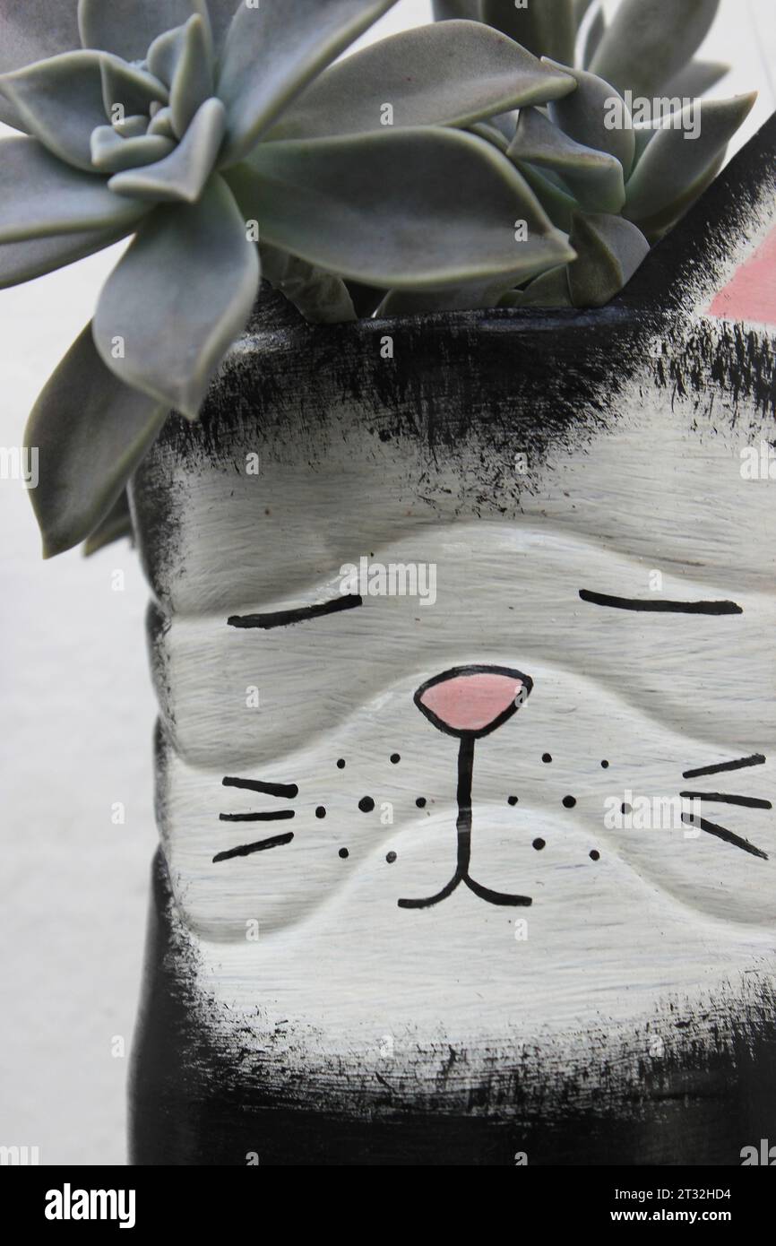 Handmade vase produced from the reuse of plastic pet bottles, cat ...