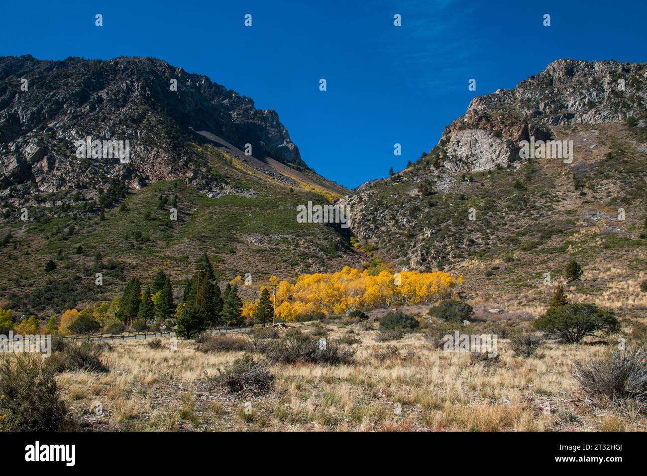 The fall color along the June Lake Loop in Mono County can be vibrant ...