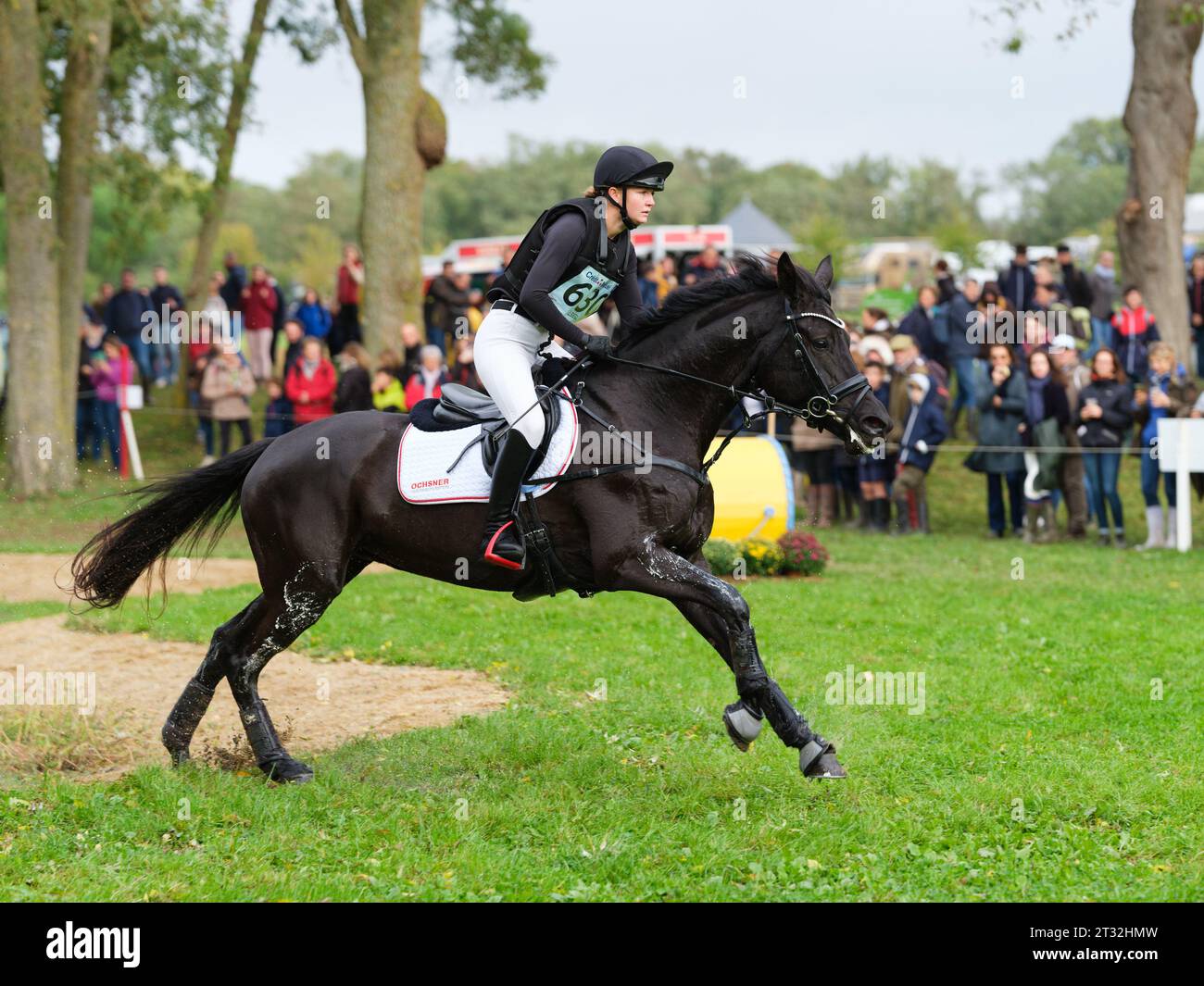Lea SIEGL of Austria with Sternenzauberin during the cross-country at the Mondial du Lion d ...