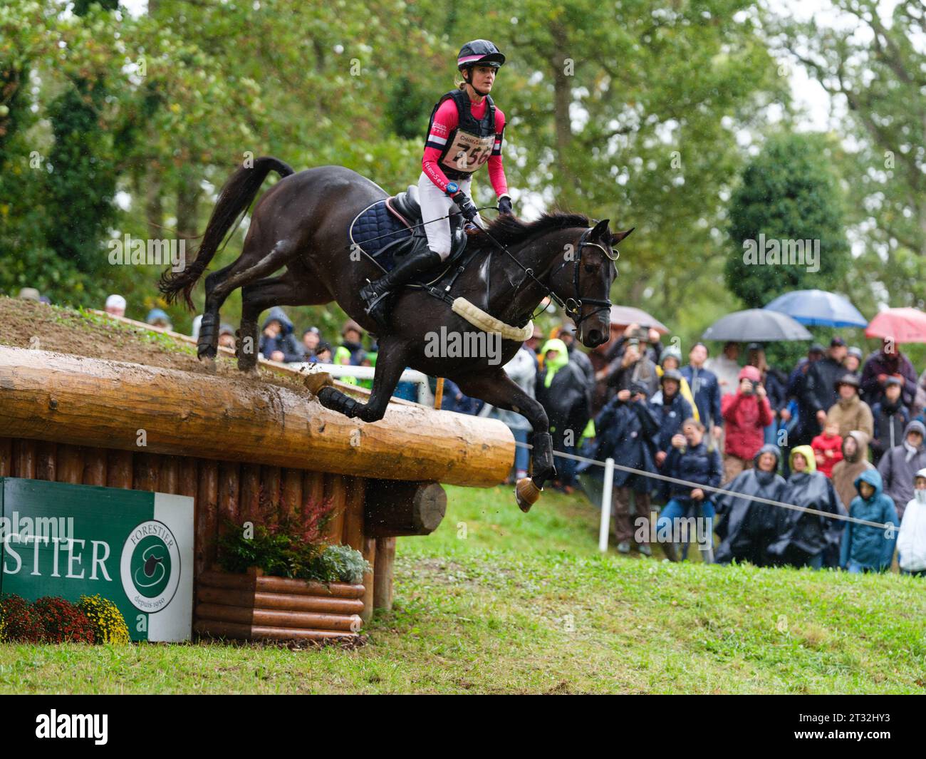 David loiseau hi-res stock photography and images - Alamy