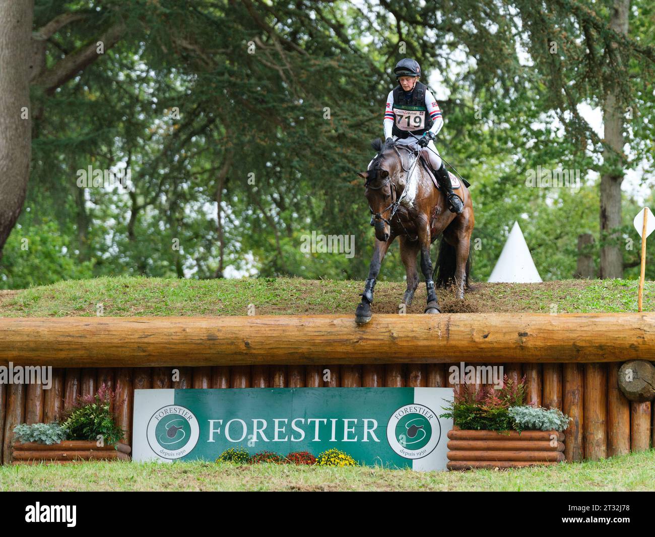 David sanderson hi-res stock photography and images - Alamy