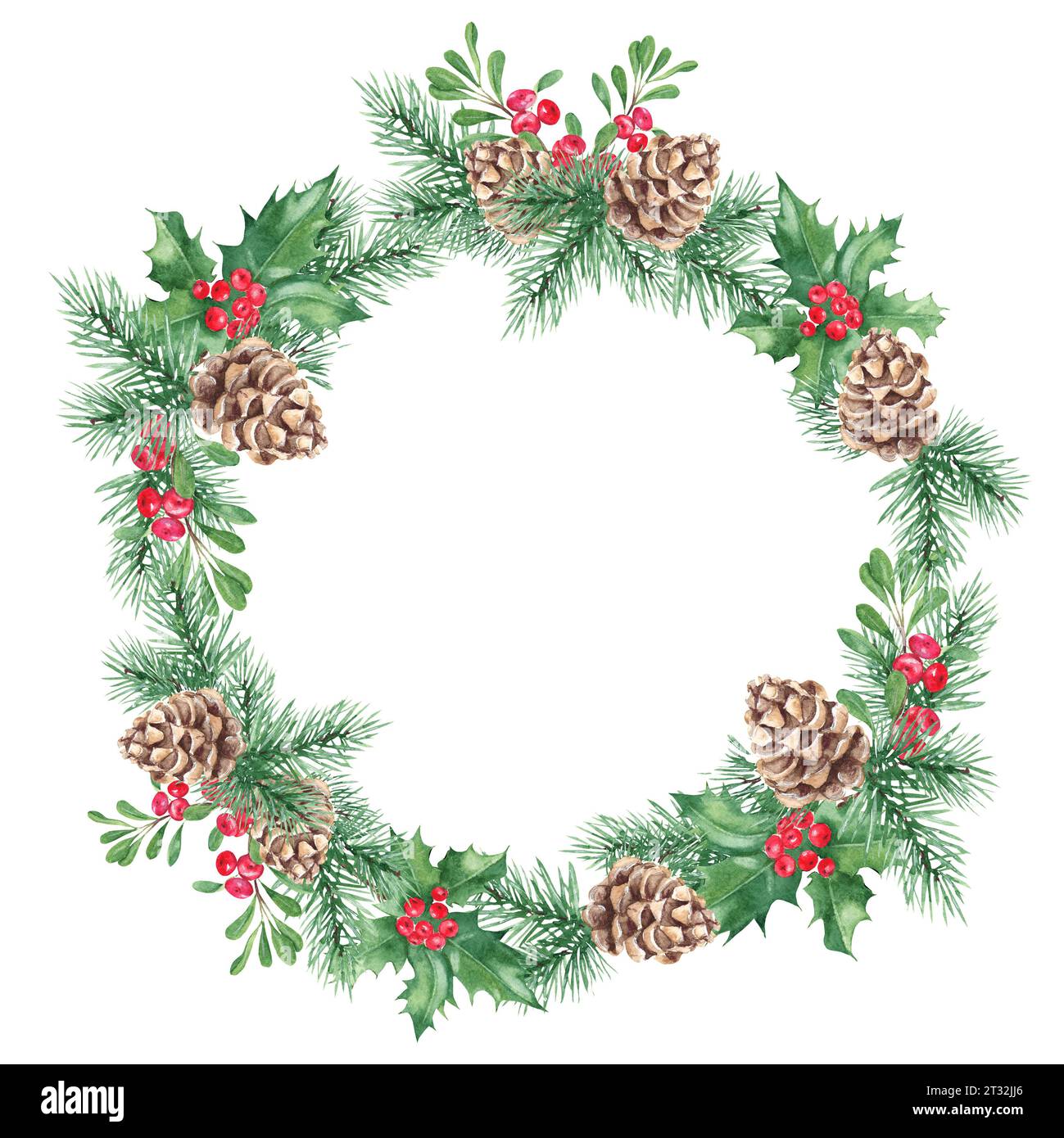 Watercolor hand drawn Christmas wreath. Floral frame with Pine cone and ...