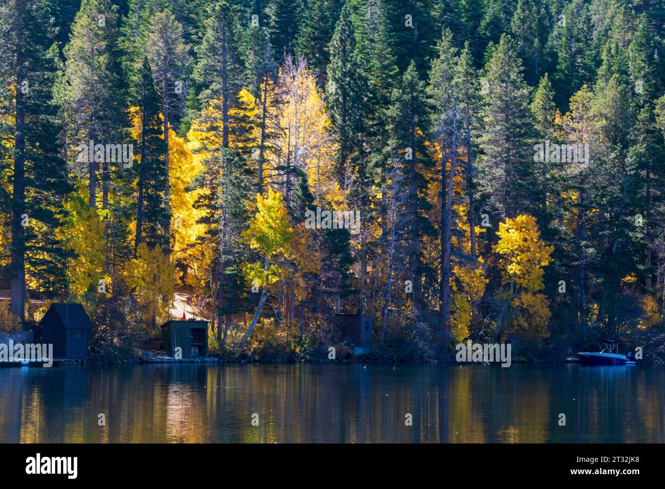 The fall color along the June Lake Loop in Mono County can be vibrant ...