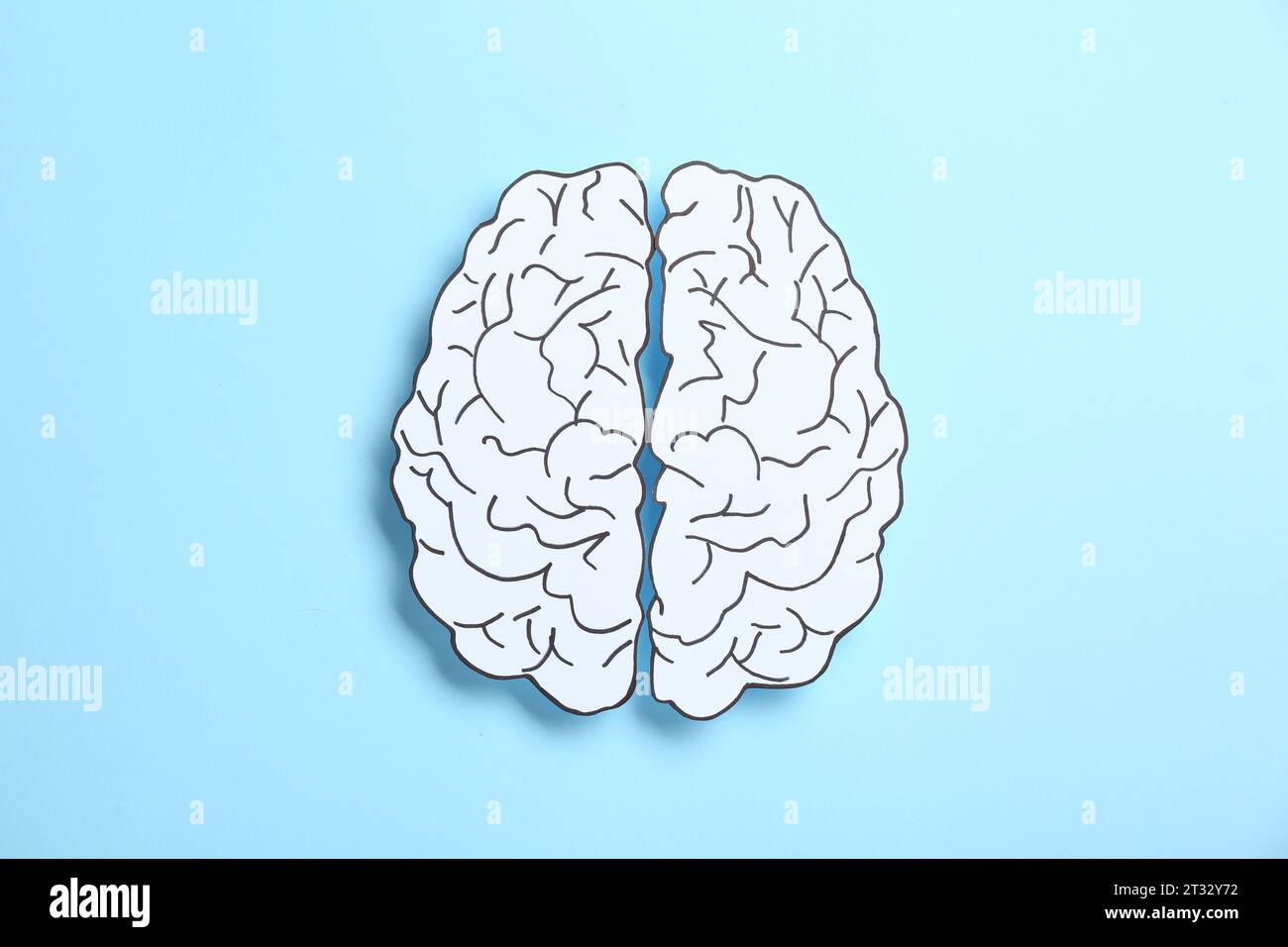 Paper brain hemispheres on light blue background, top view Stock Photo ...