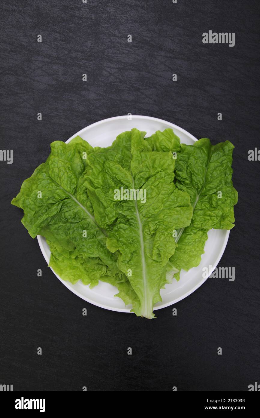 Sanchu hi-res stock photography and images - Alamy