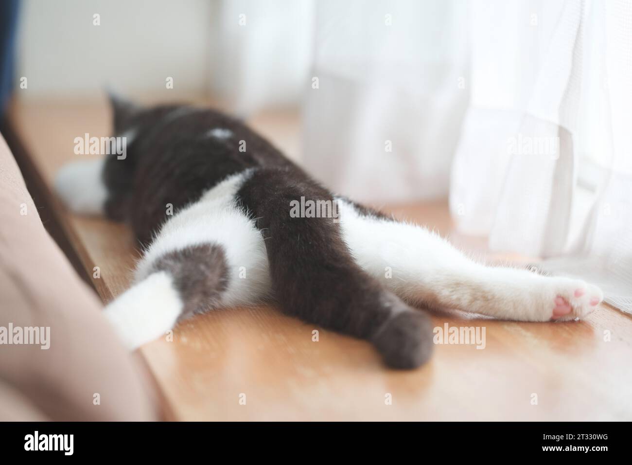 Spread legs hi-res stock photography and images - Alamy