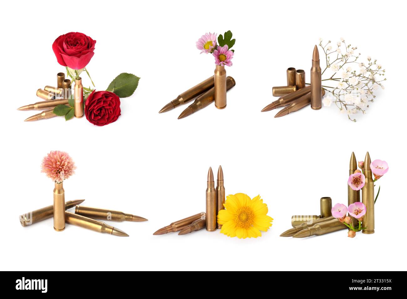 Bullets cartridge case beautiful hi-res stock photography and images ...