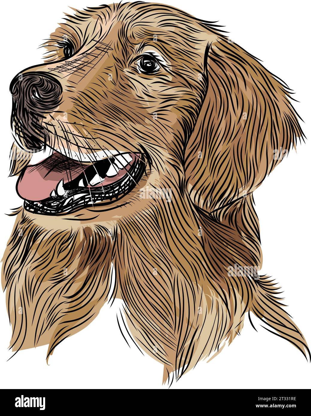 Golden labrador puppy Stock Vector Images - Alamy