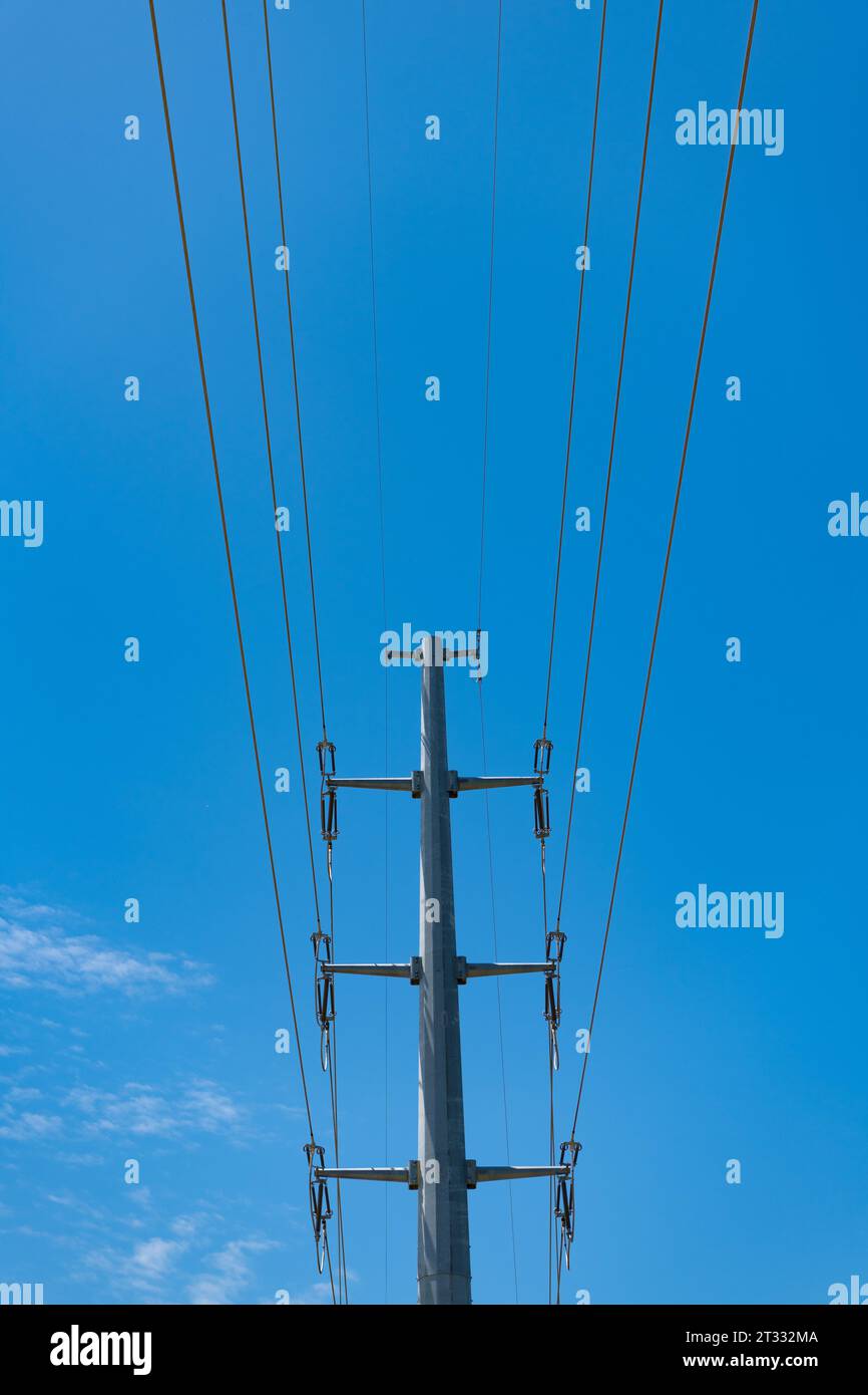 high voltage powerline. powerful substation. electricity provider ...