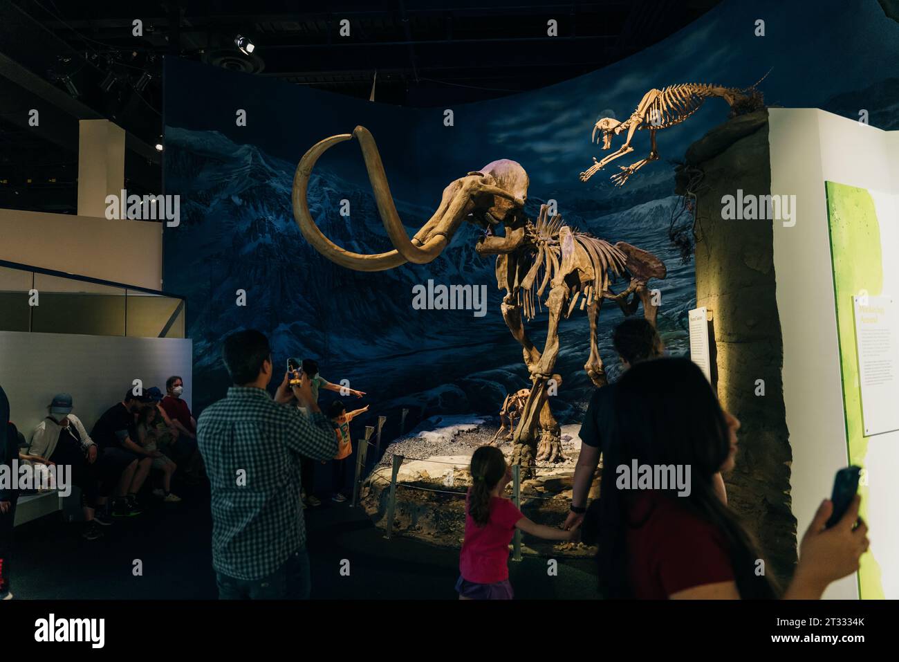 Drumheller, Alberta, Canada- may, 2022 The Royal Tyrell Museum of ...