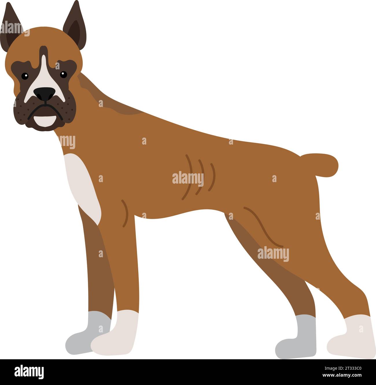 dog boxer illustration vector isolated Stock Vector Image & Art - Alamy