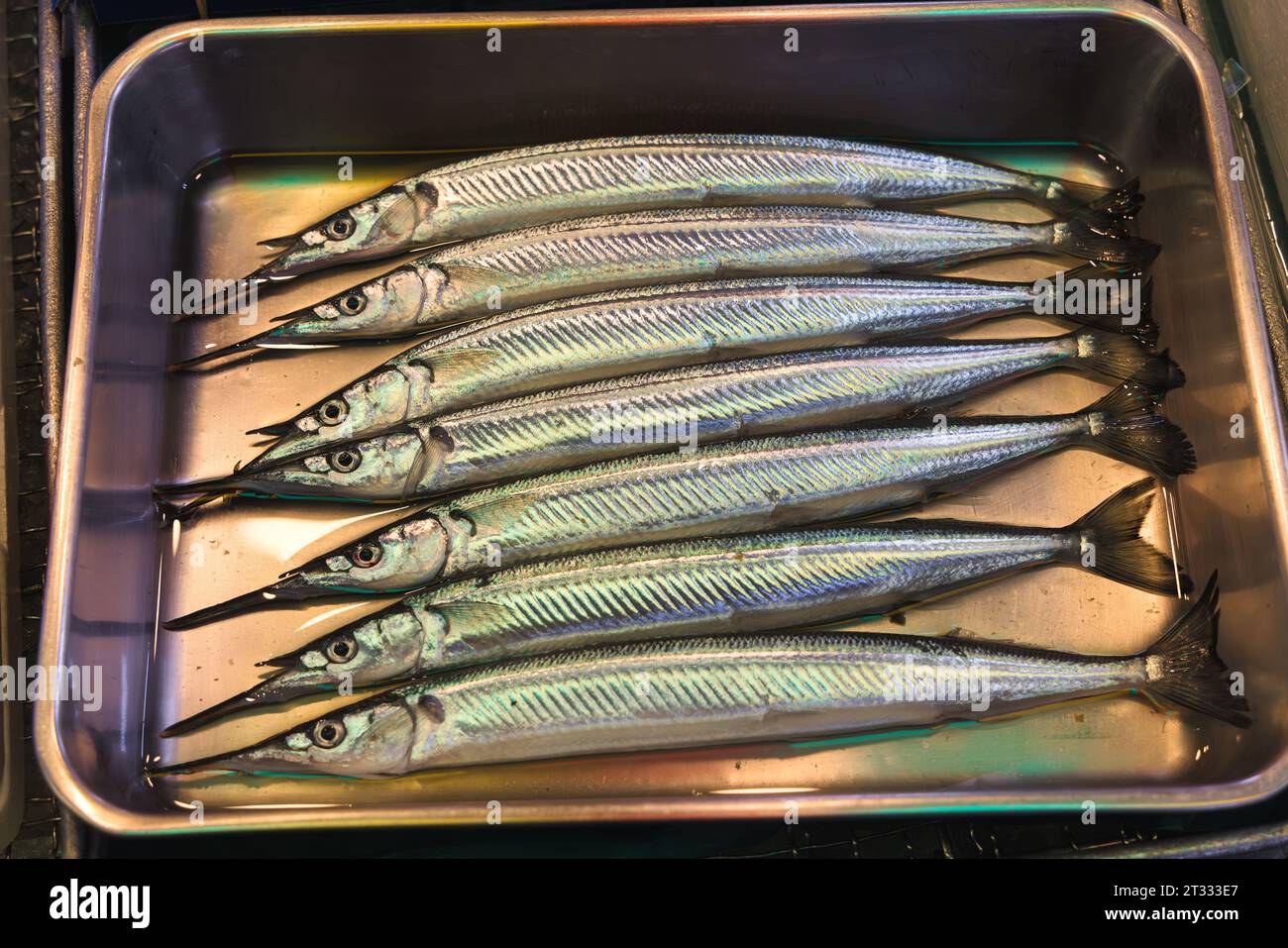 fresh garfish on a display of a market stall of the famous Nishiki Fish ...