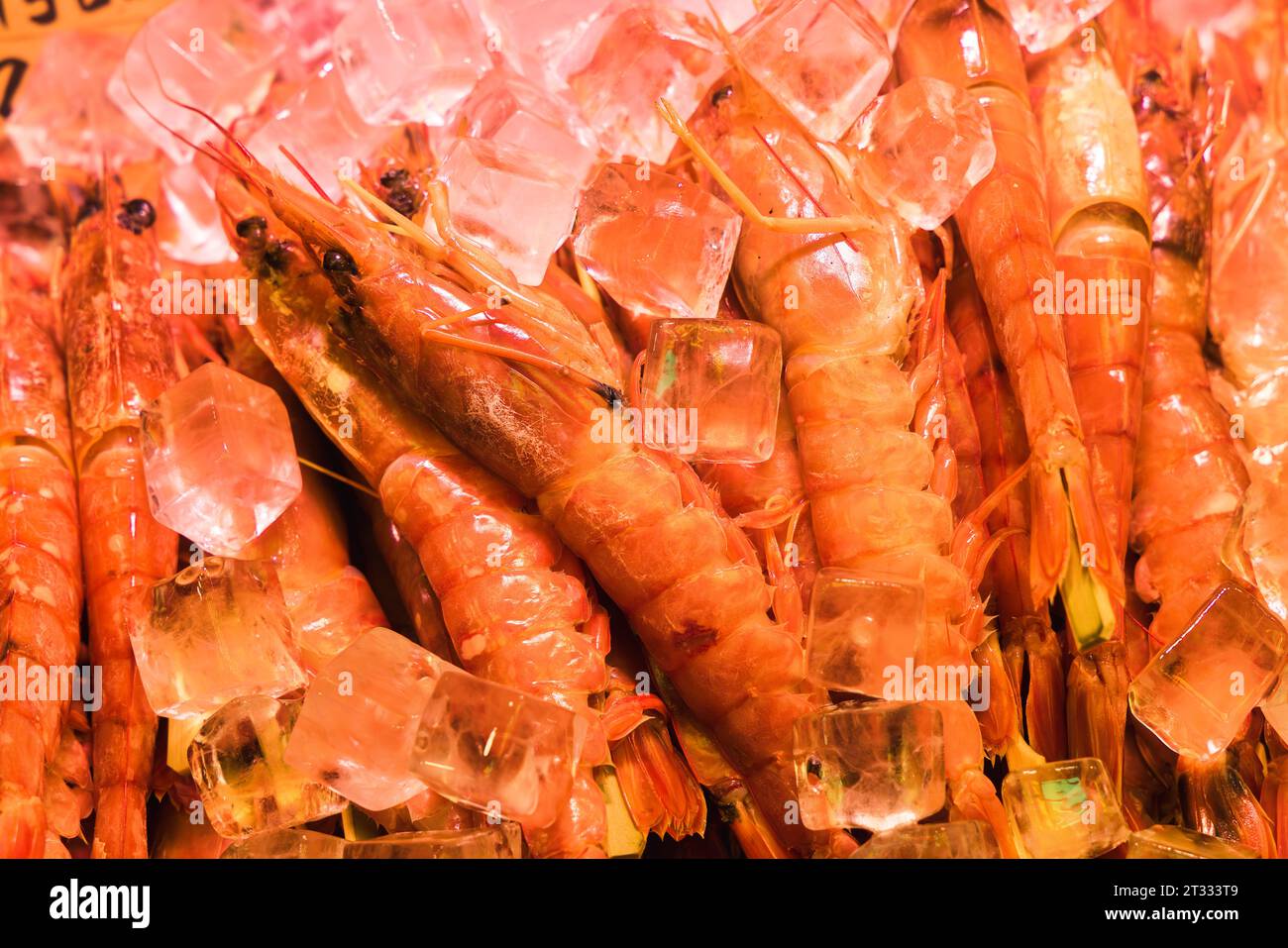 Display of shrimps hi-res stock photography and images - Alamy