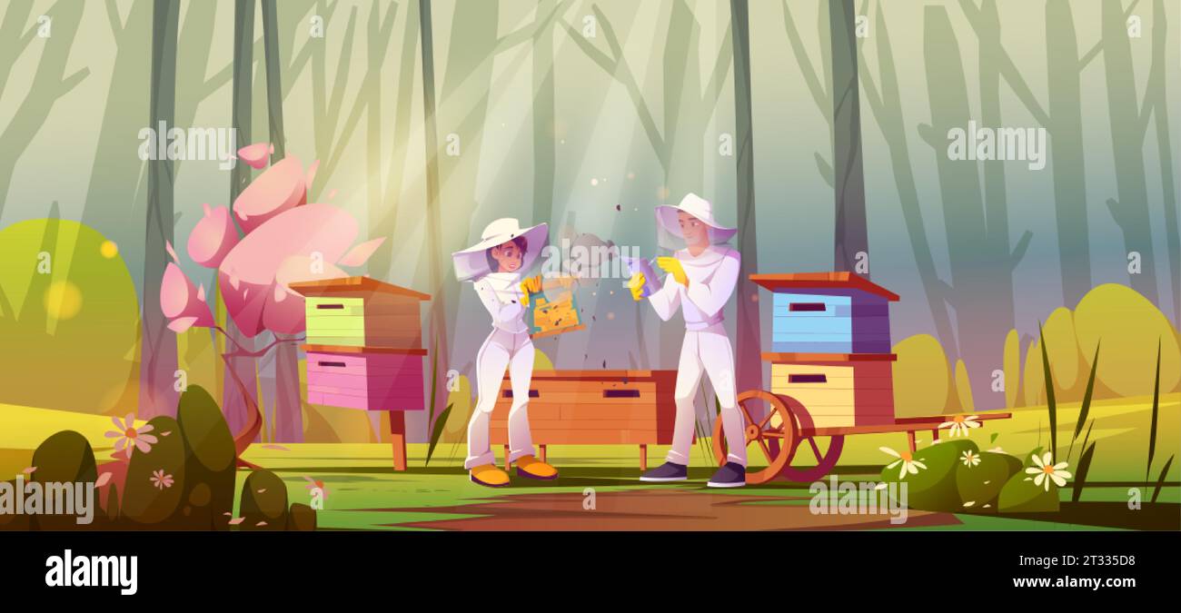 Two beekeepers use smoke to treat frame with beehives near apiary in ...