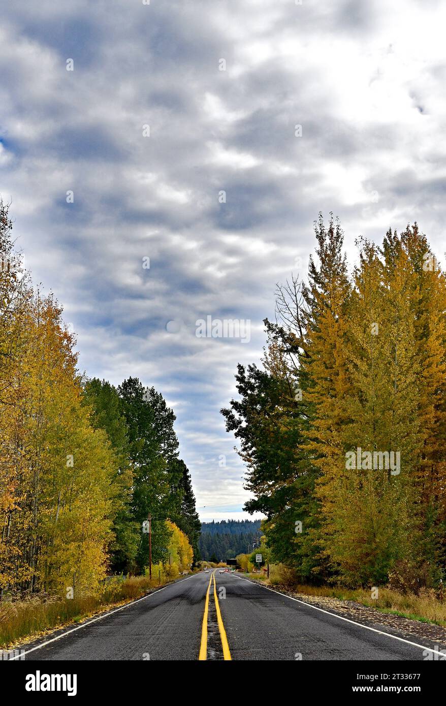 Fall Foliage - mesmerizing fall colors Stock Photo - Alamy