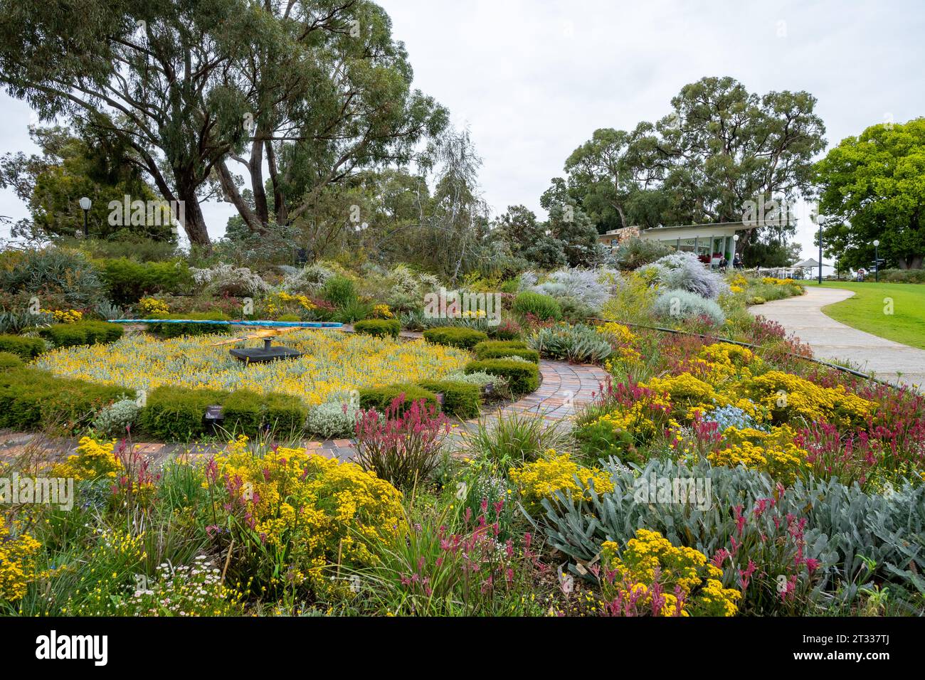 Colorful flowers in the garden of the Western Australia Botanic Garden ...