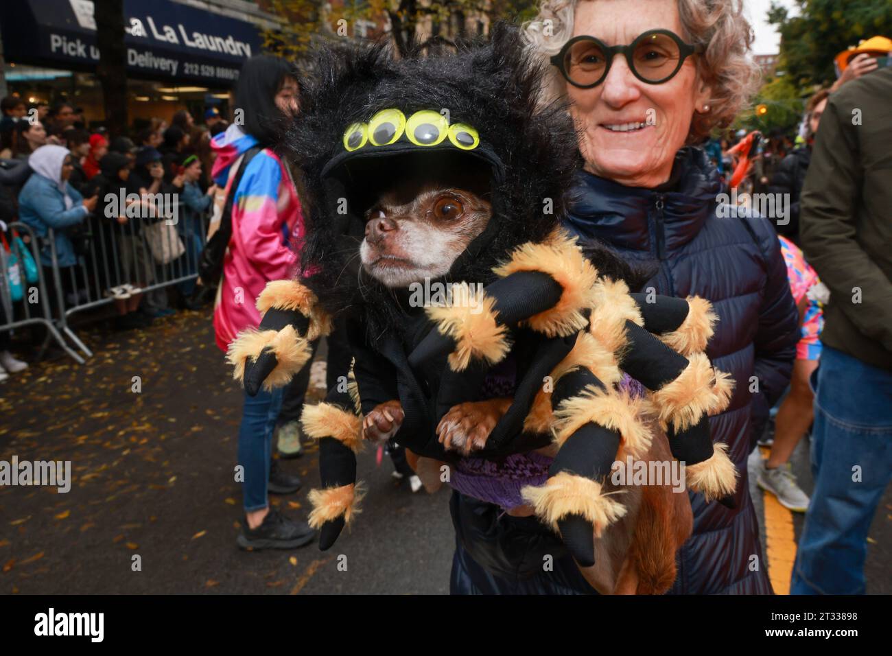 Lucy is held by owner Mimi and she's an itsy bitsy spider for the 33rd ...