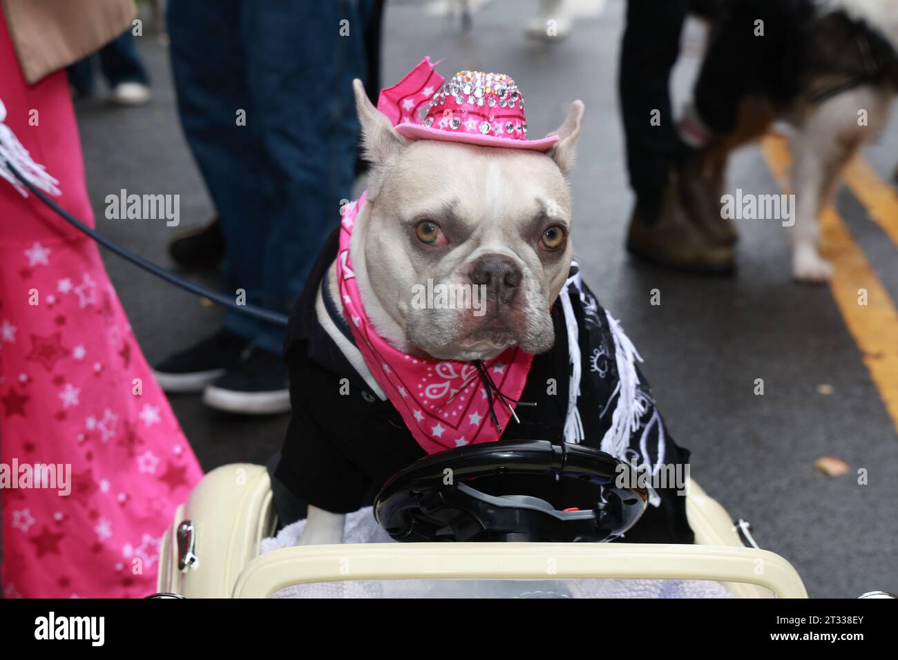 Barbie hat hi-res stock photography and images - Alamy