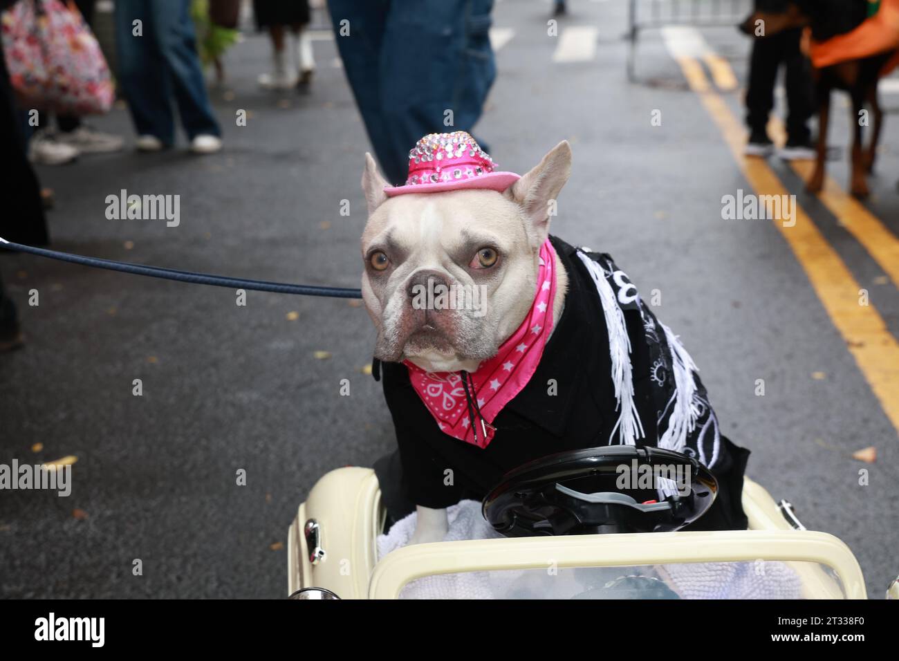 Leslie Akin and her dog Earl make a great Barbie for the 33rd Annual ...