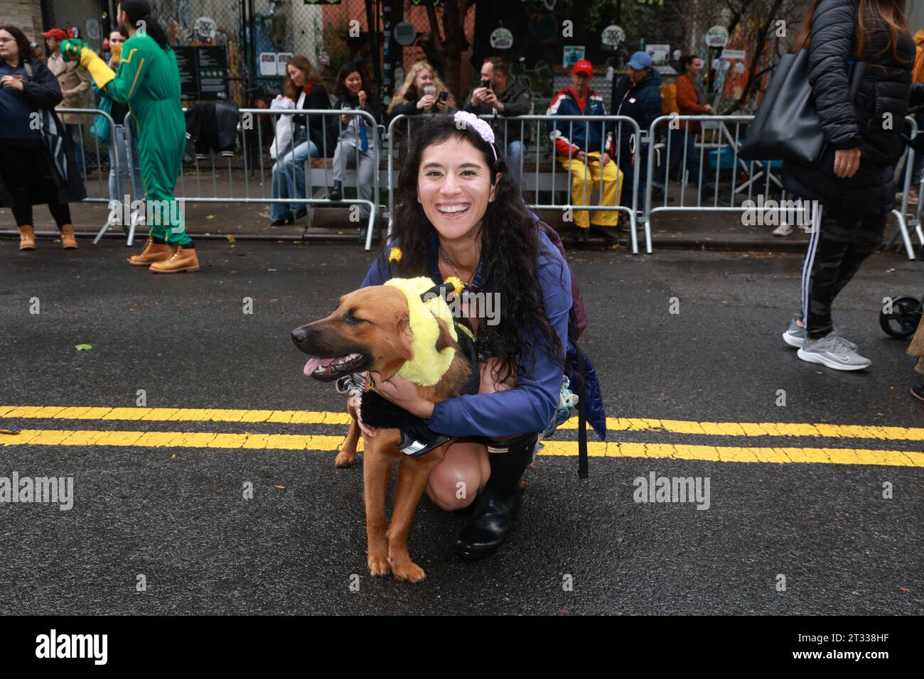 This German Shepherd is dressed as a bumble bee for the 33rd Annual ...