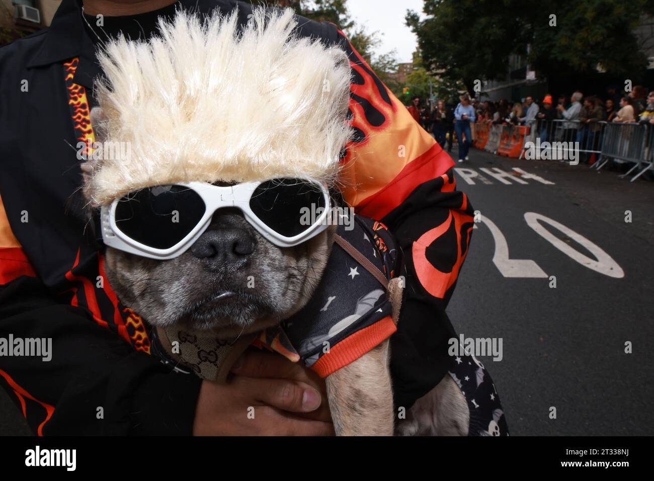 A French Bulldog named Player is all decked as Guy Fieri for the 33rd ...