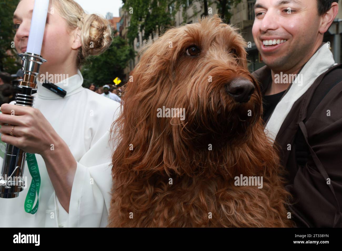 Several cosplayers and a dog are dressed as characters from Star Wars ...
