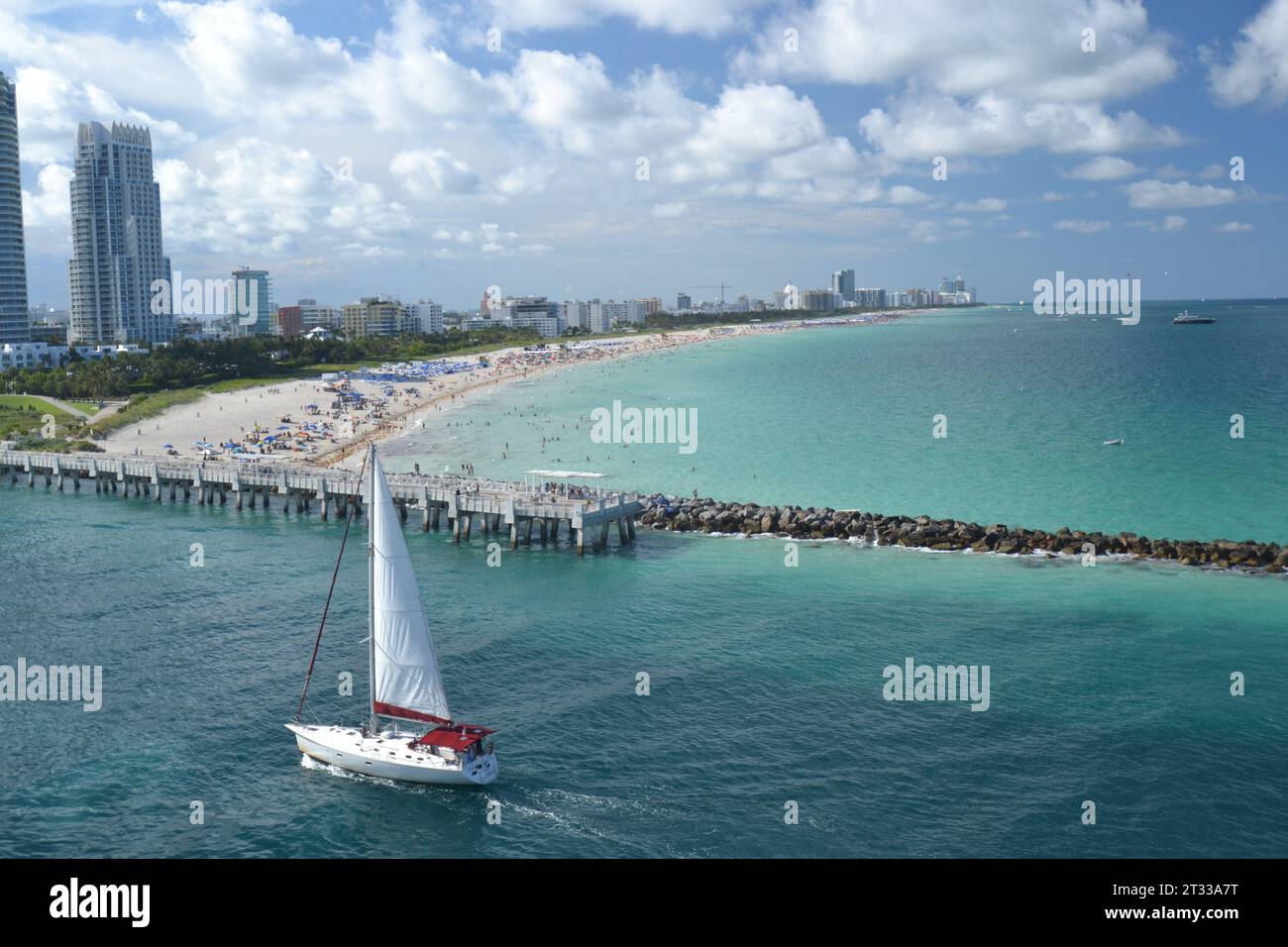 Sailboat In Miami Harbor Stock Photo - Alamy