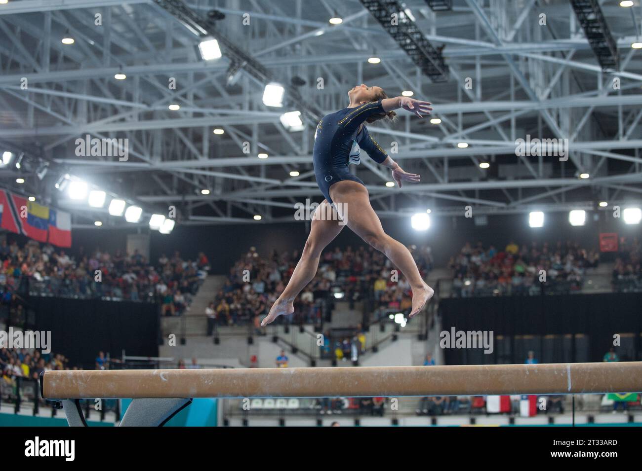 2023 chile flavia saraiva hi-res stock photography and images - Alamy