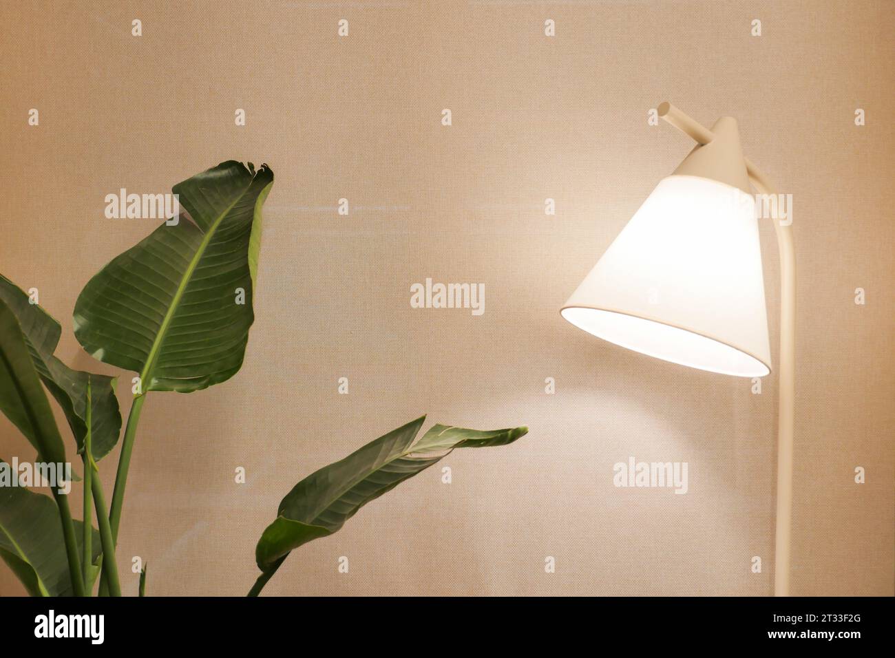 a lamp in home against white wall Stock Photo - Alamy