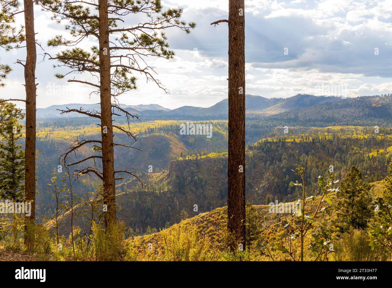 New mexico scenic with car hi-res stock photography and images - Alamy