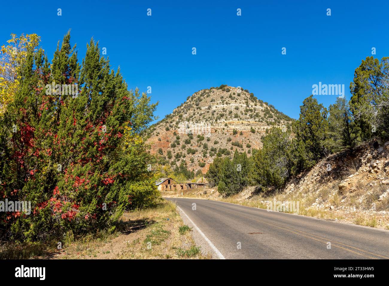 The colors of autumn. Scenic landscape in New Mexico Stock Photo - Alamy