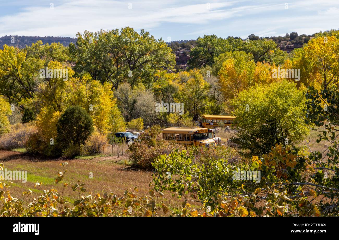 The colors of autumn. Scenic landscape in New Mexico Stock Photo - Alamy