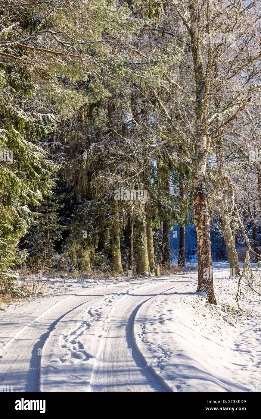 Snowy winding forest road hi-res stock photography and images - Alamy